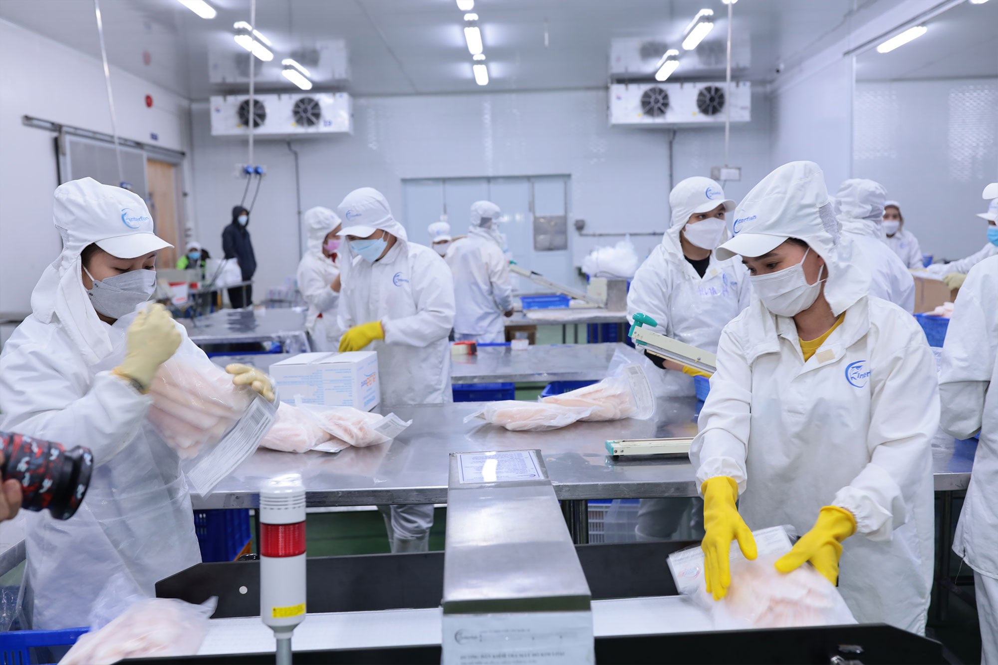 Ứng dụng công nghệ cao vào sản xuất cá tra xuất khẩu - Interfish ...