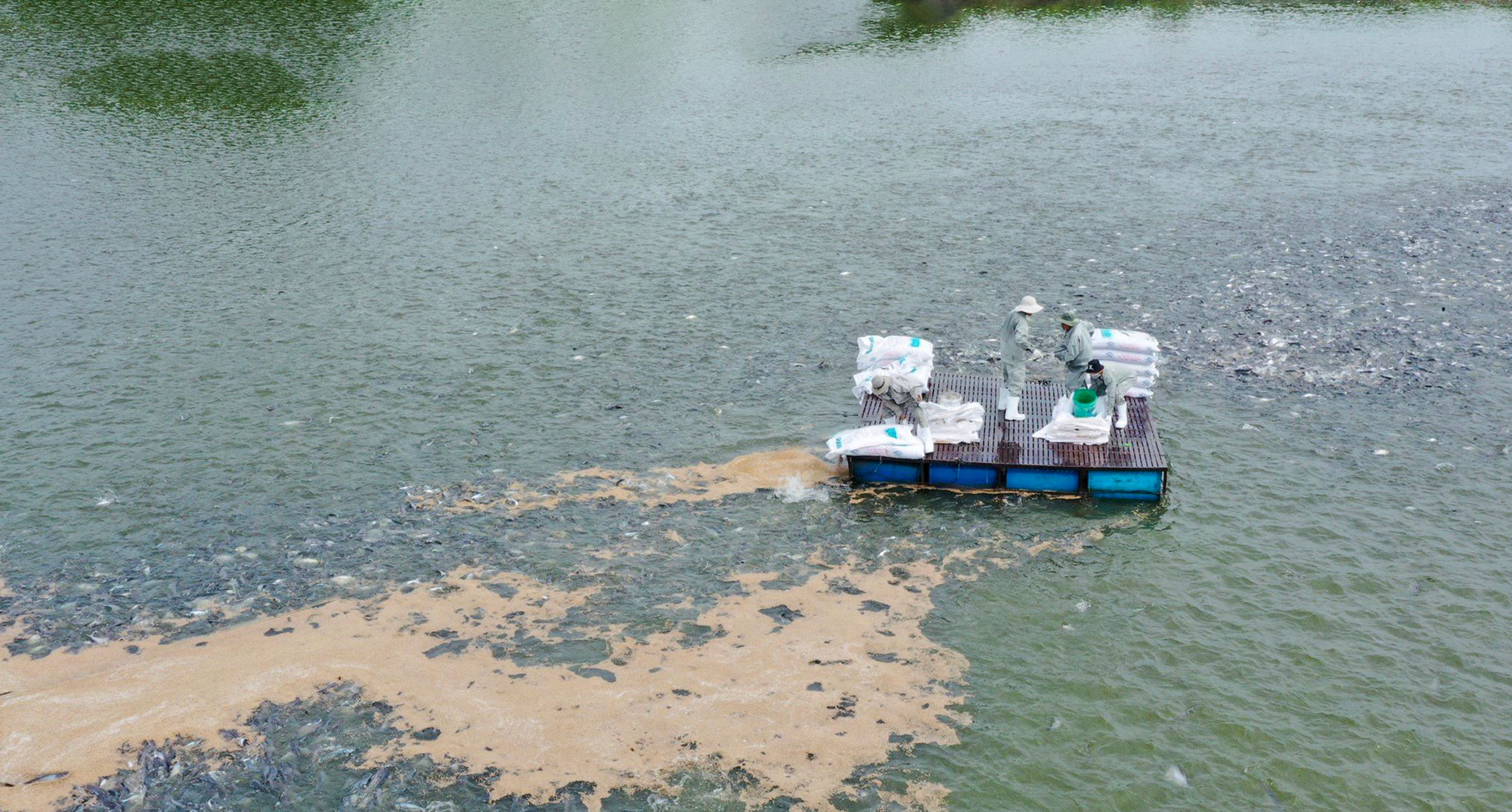 News - Interfish Company Limited