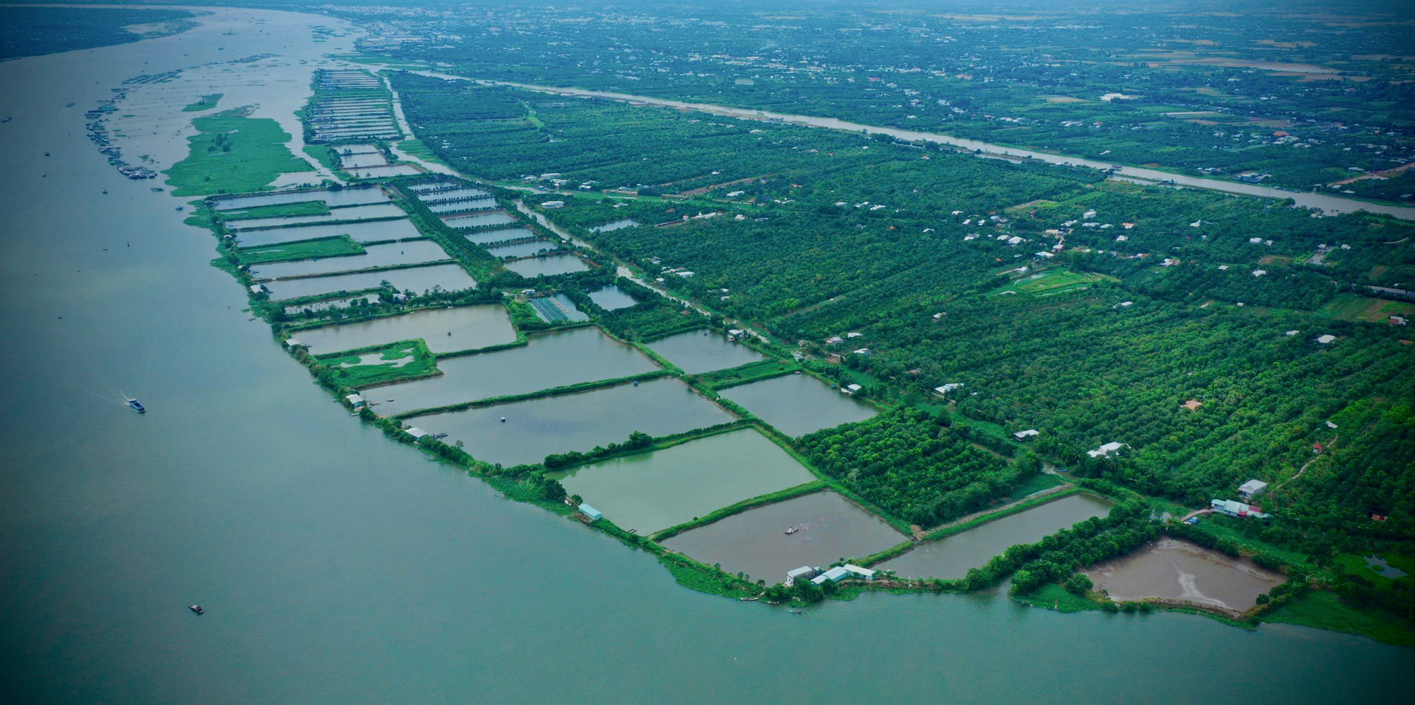 About us - Interfish Company Limited