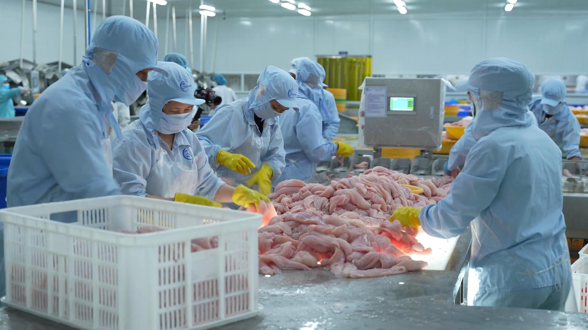 Interfish Company Limited - More Value Than Fish